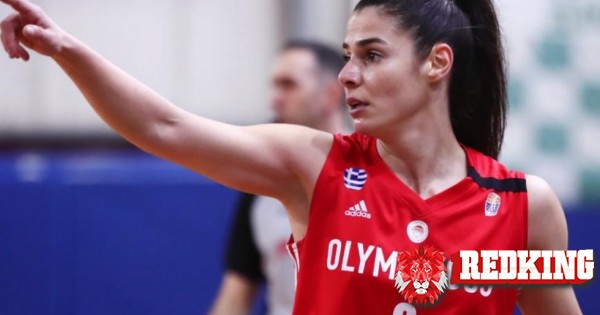 Με φόντο τους τελικούς και την κούπα! (photo) - ΜΠΑΣΚΕΤ - REDKING